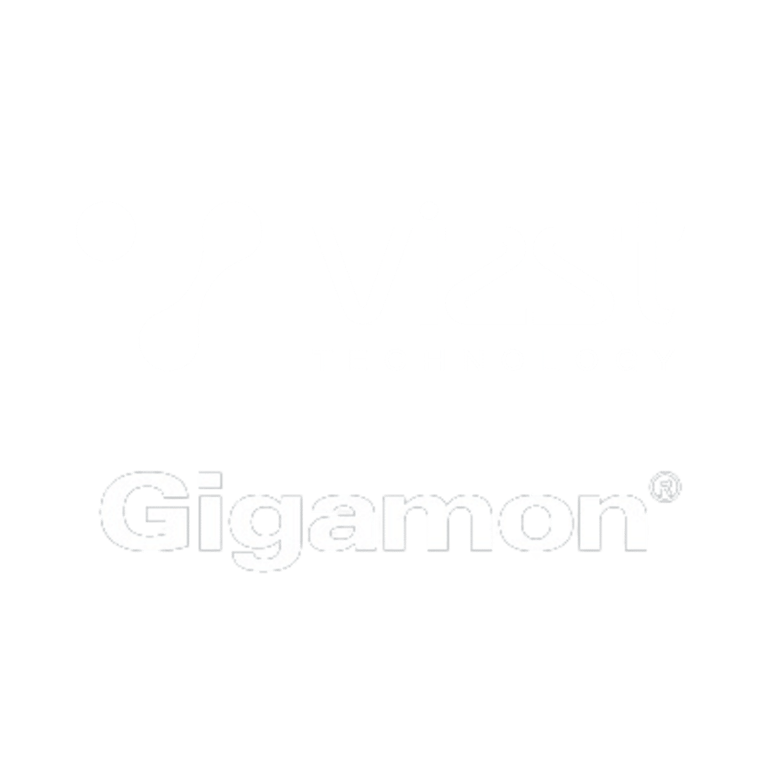 Cyber Security for the NHS - Vizst Technology